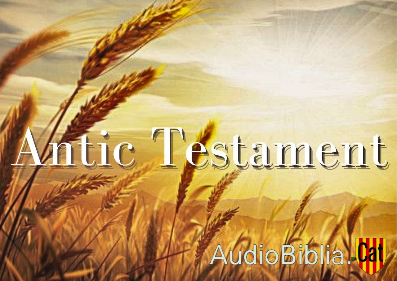 Audio Biblia cat La B blia En udio En Catal 